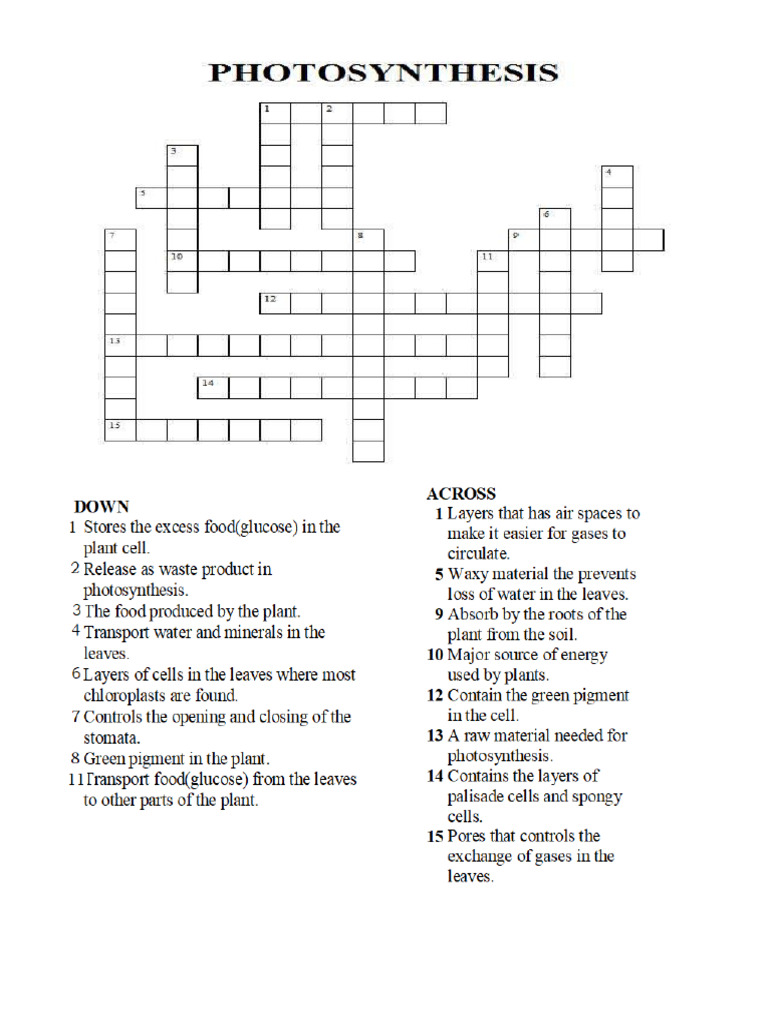 Photosynthesis - Puzzle CW3 | PDF