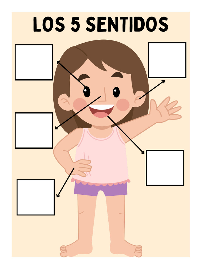 5 Senses Posters in Colorful Illustrative Style | PDF