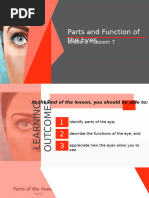 Parts of A Nose - Science 3 | PDF