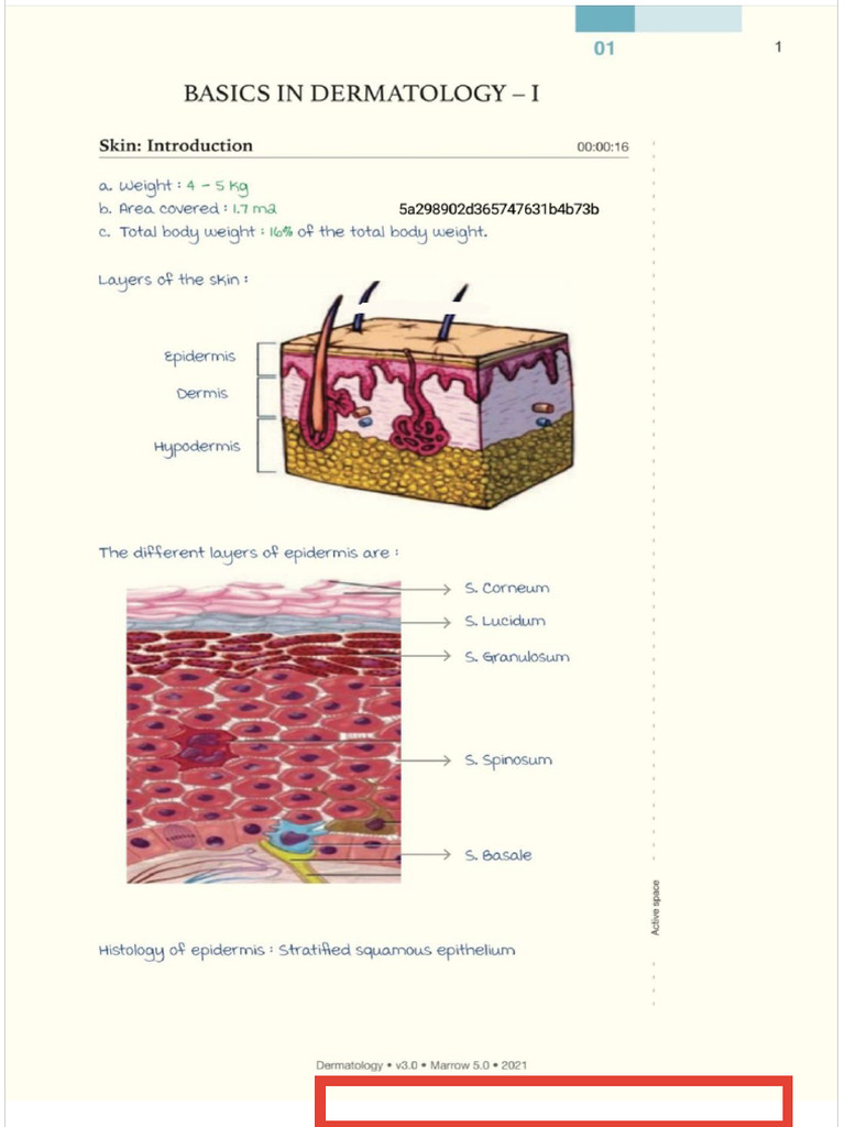 Dermatology Ed5 | PDF