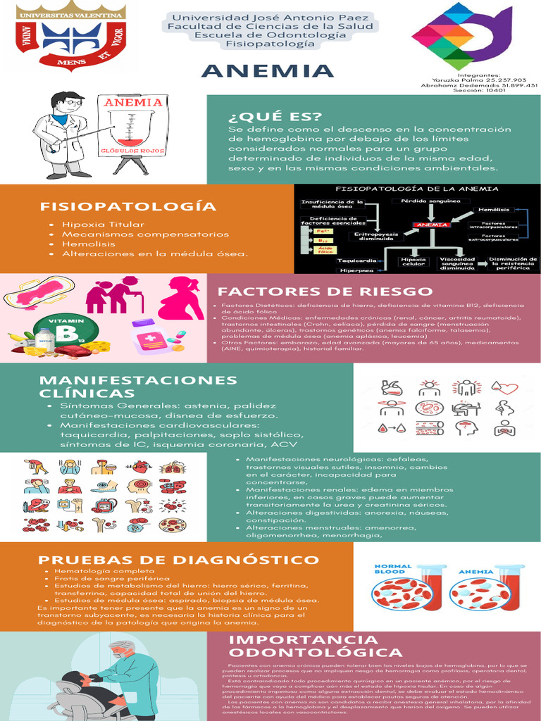 Fisiopatología y diagnóstico de la anemia | PDF | Anemia | Enfermedades ...