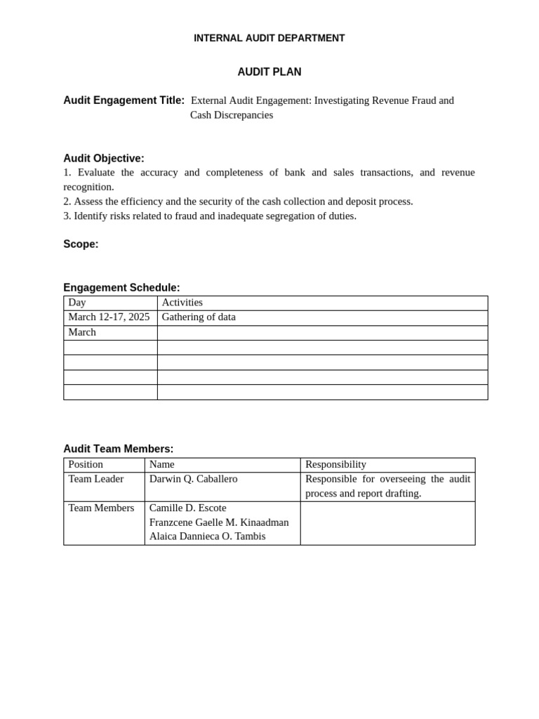 1_Audit-Plan-template | PDF