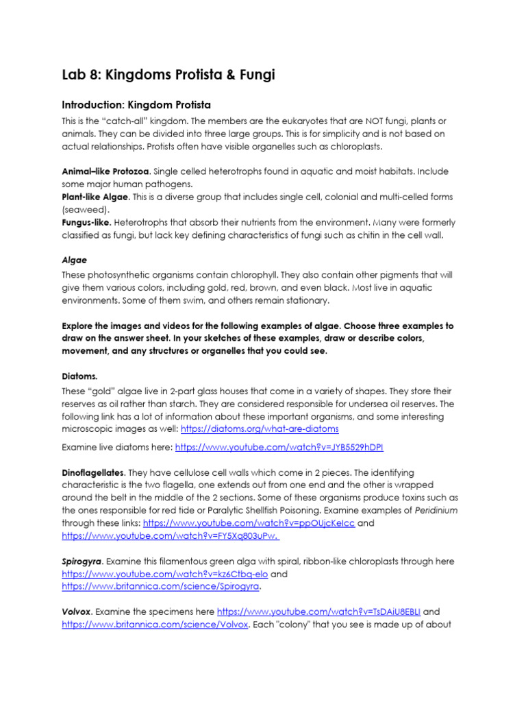 Lab 8 - Kingdom Protista and Fungi (Virtual) | PDF | Fungus | Sexual Reproduction