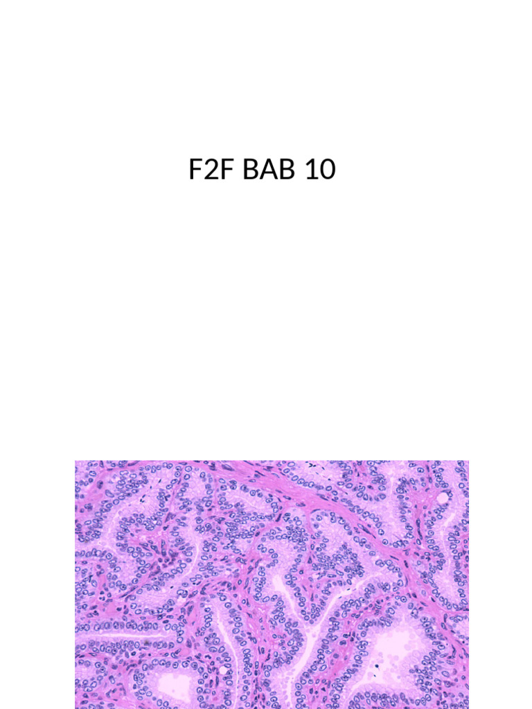 F2F BAB 10 | PDF
