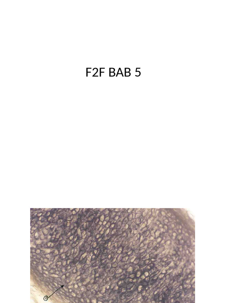 F2F BAB 5 | PDF