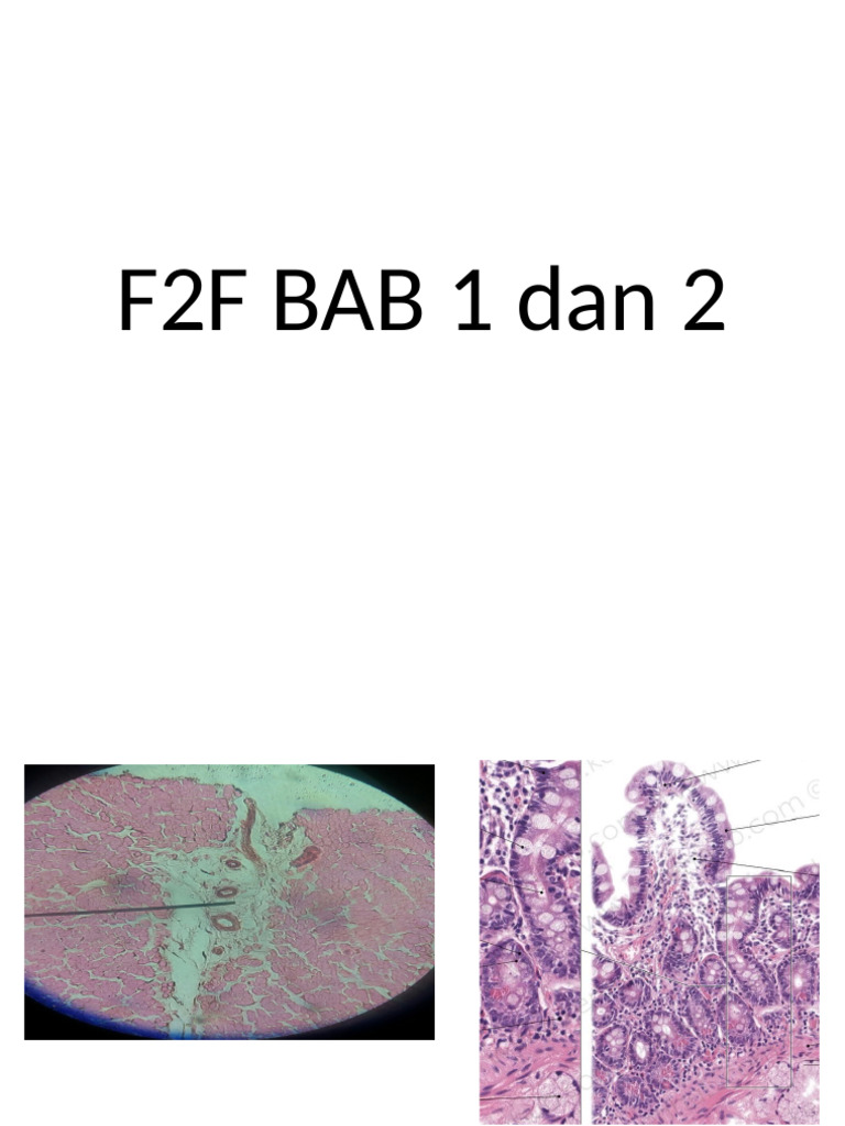 F2F Bab 1 & 2 | PDF