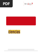 Procesos de Fosilización y Tafonomía | PDF | Fósil | Paleontología