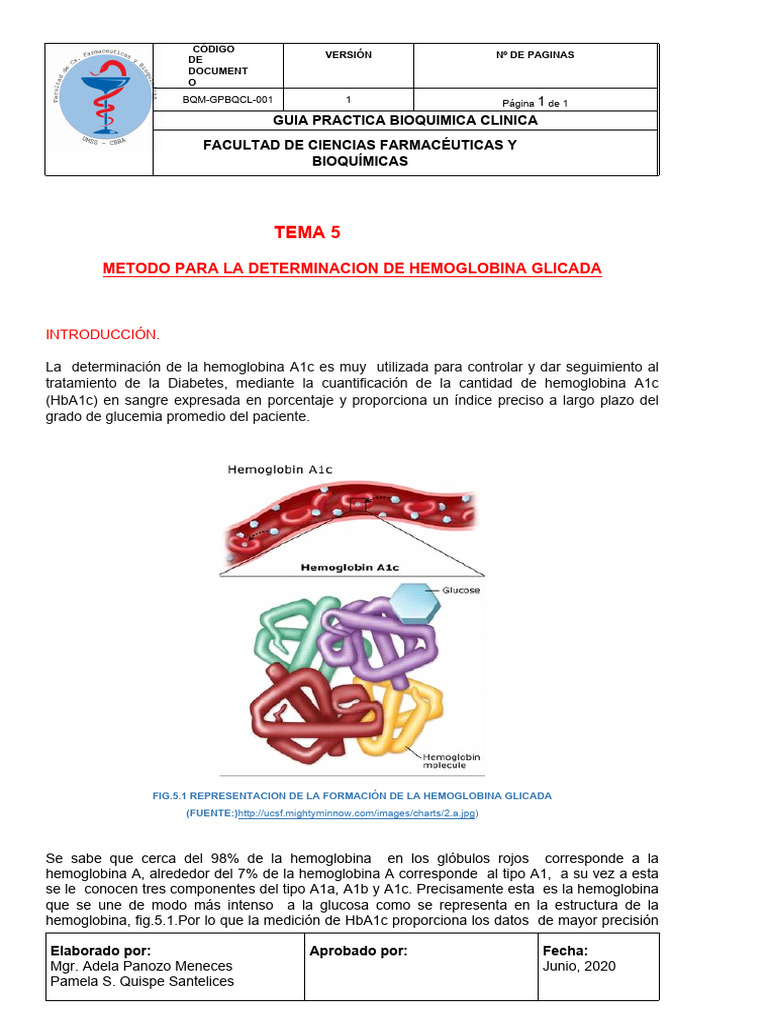 Metodo para La Determinacion de Hemoglobina Glicada | PDF | Hemoglobina ...