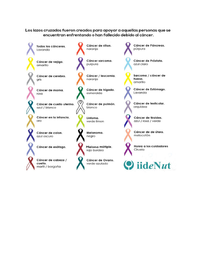Cerca de 30 Colores Han Sido Utilizados para Identificar Los Distintos ...