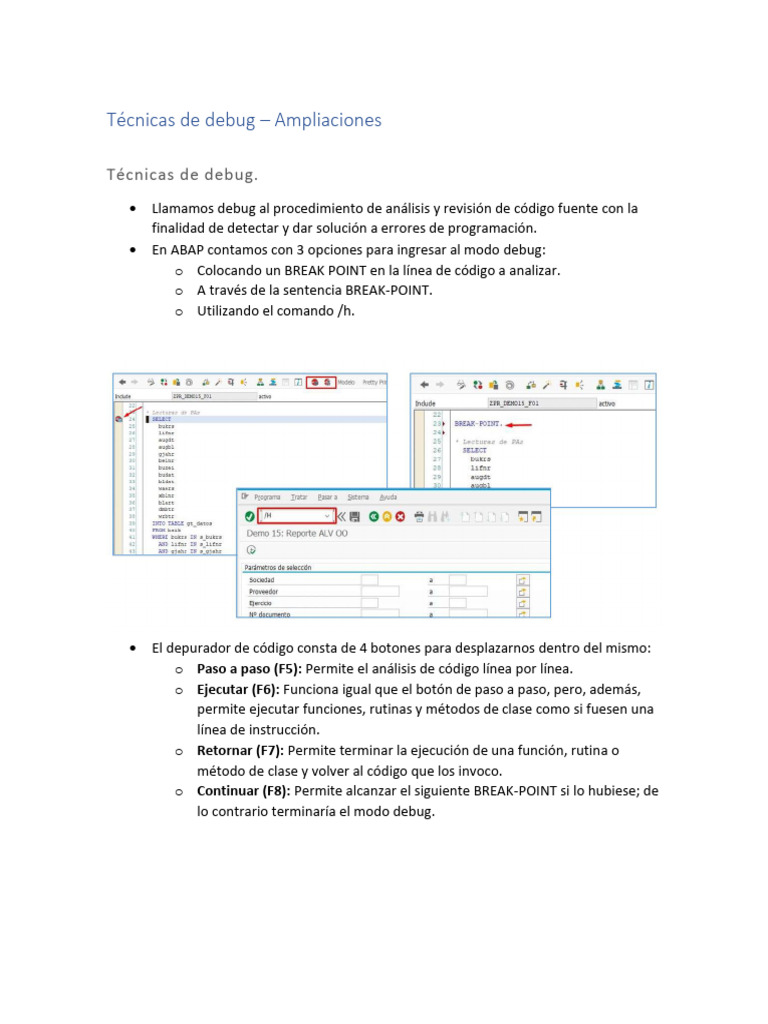 Técnicas de Debug - SAP ABAP | PDF | Ingeniería de software | Informática