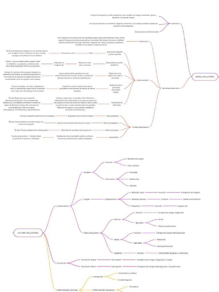 Mapas mentale de semio (1) | PDF