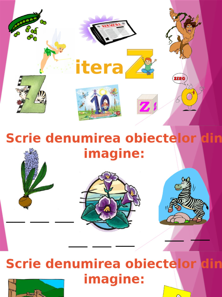 1 Litera Z | PDF