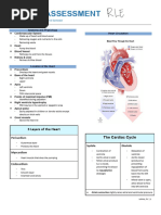 Small Animal Cardiology Auscultation - Vet Visions | PDF | Heart ...