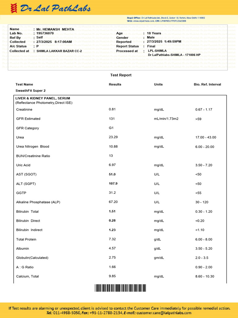 Liver and Kidney Test Report Summary | PDF | Creatinine | Internal Medicine