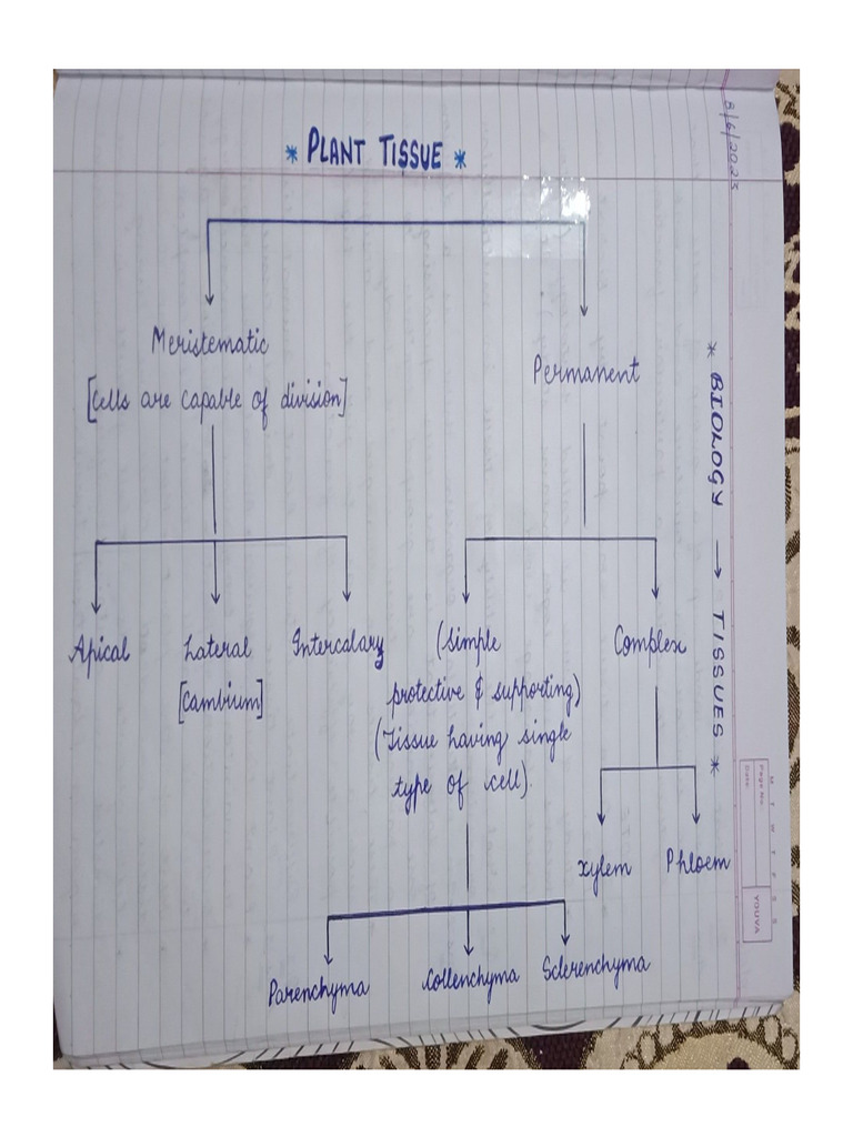 Biology Tissues Notes Class 9th | PDF