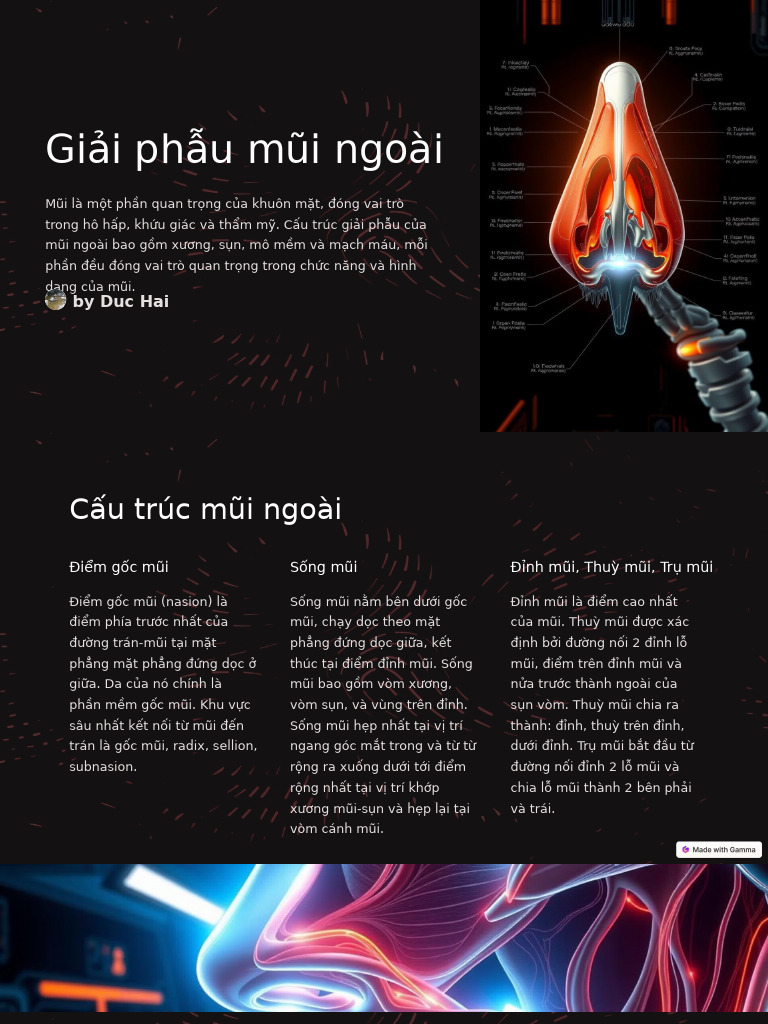 Giai Phau Mui Ngoai | PDF