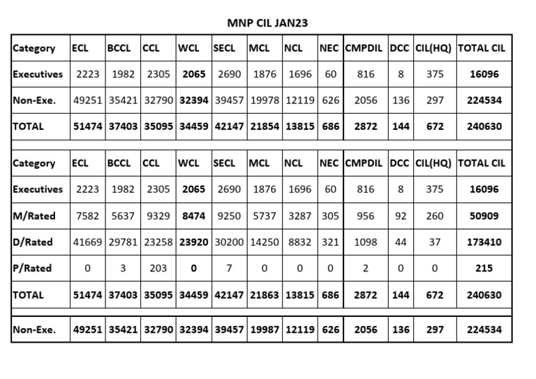 Clerk_exam_MNP_CIL_JAN_2023_Chart | PDF