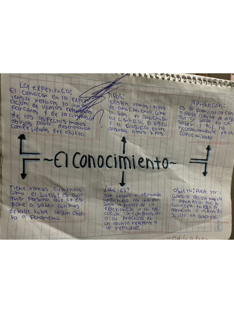 Mapa Conceptual | PDF