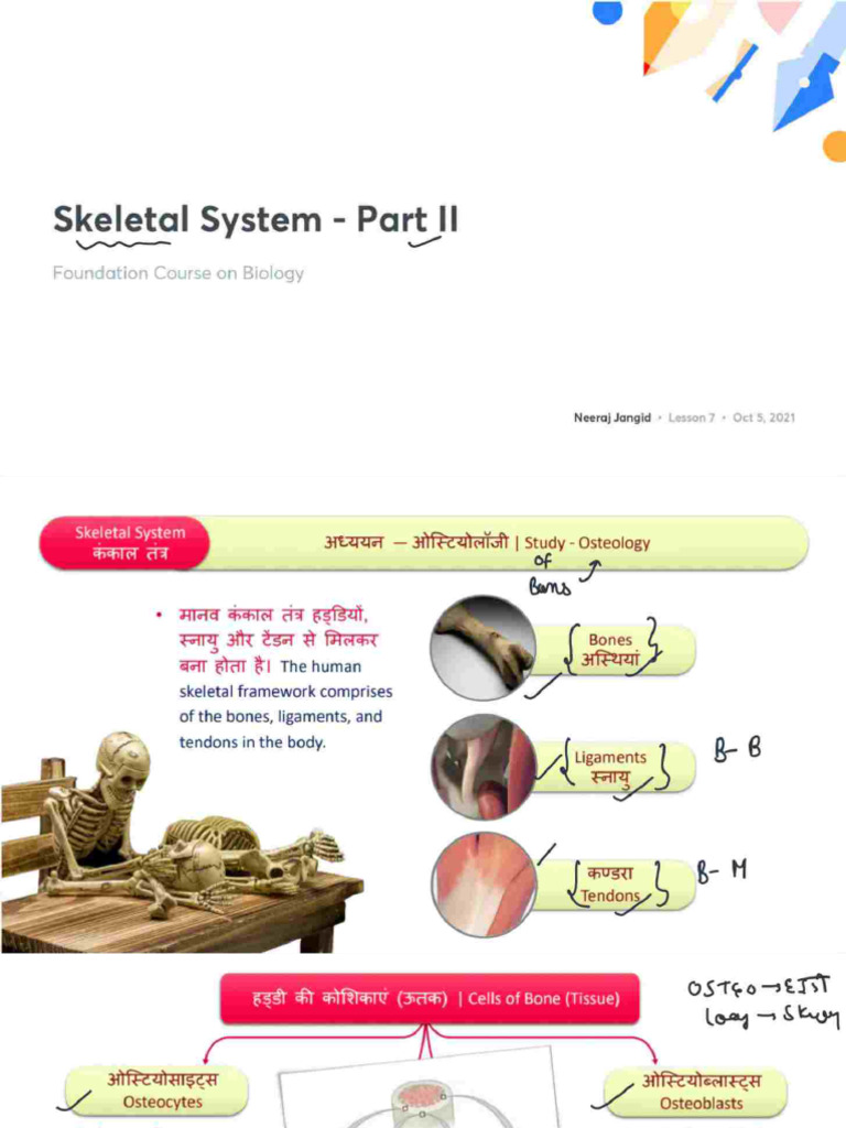 3 Skeletal - System | PDF