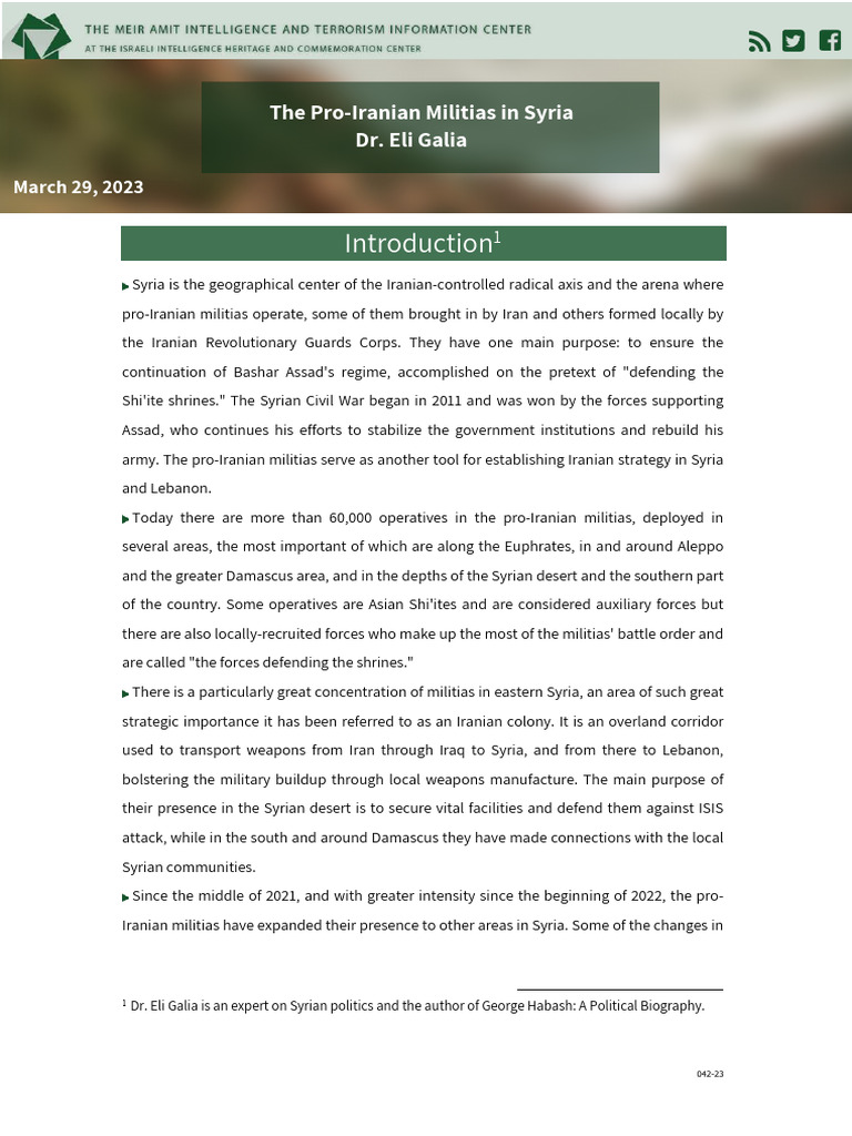 The Pro-Iranian Militias in Syria | PDF | Syria | Syrian Civil War