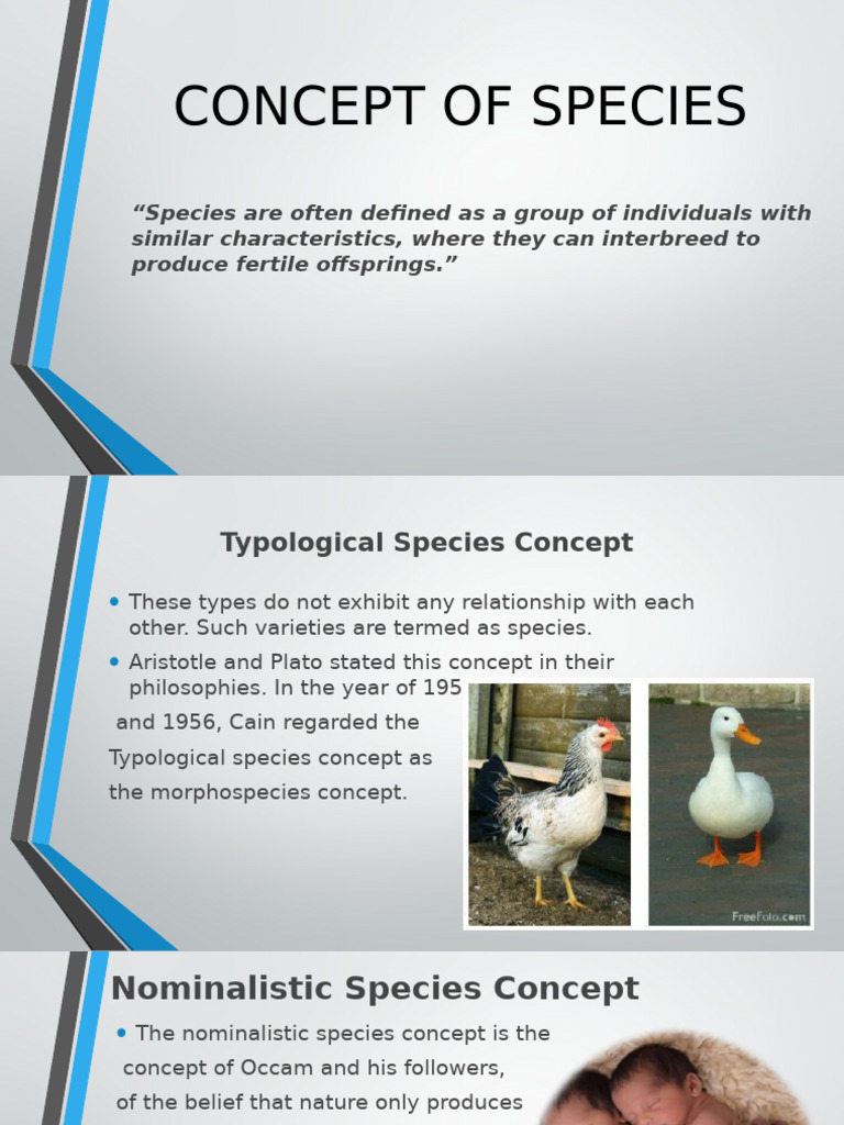Concept of Species | PDF