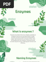 Amoeba Sisters Enzyme Handout | PDF | Enzyme | Catalase