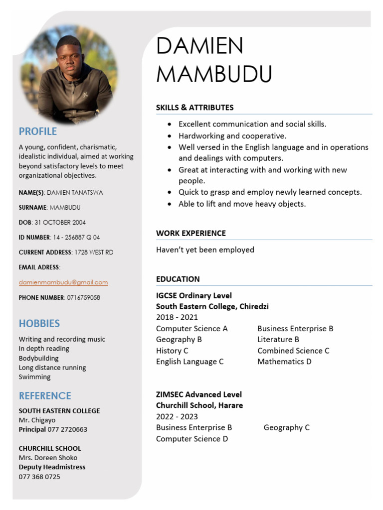 Damien Mambudu Cv | PDF