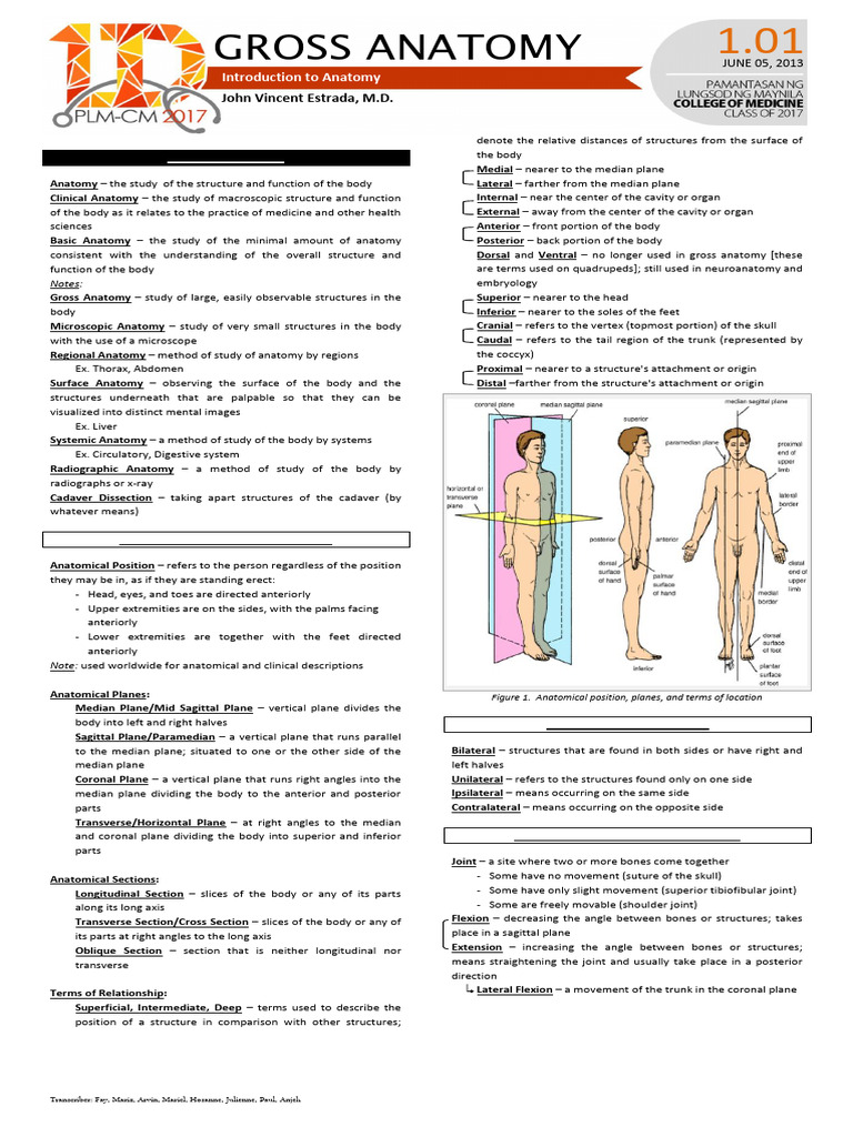 Gross Anatomy 1.01 - Introduction To Anatomy | PDF | Anatomical Terms ...