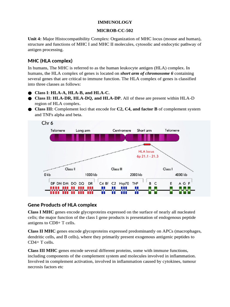 MHC (Major Histocompatibility Complex) Immunology | PDF | Mhc Class I | Major Histocompatibility ...