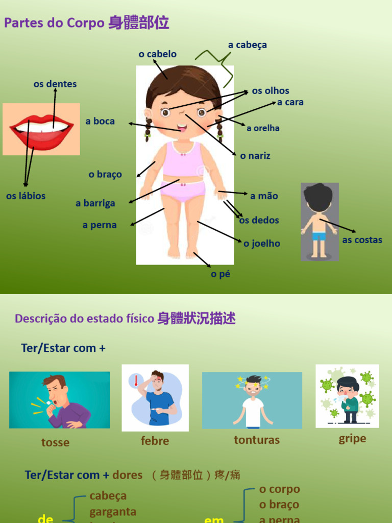 Português IV - 20240202 詞彙表 | PDF