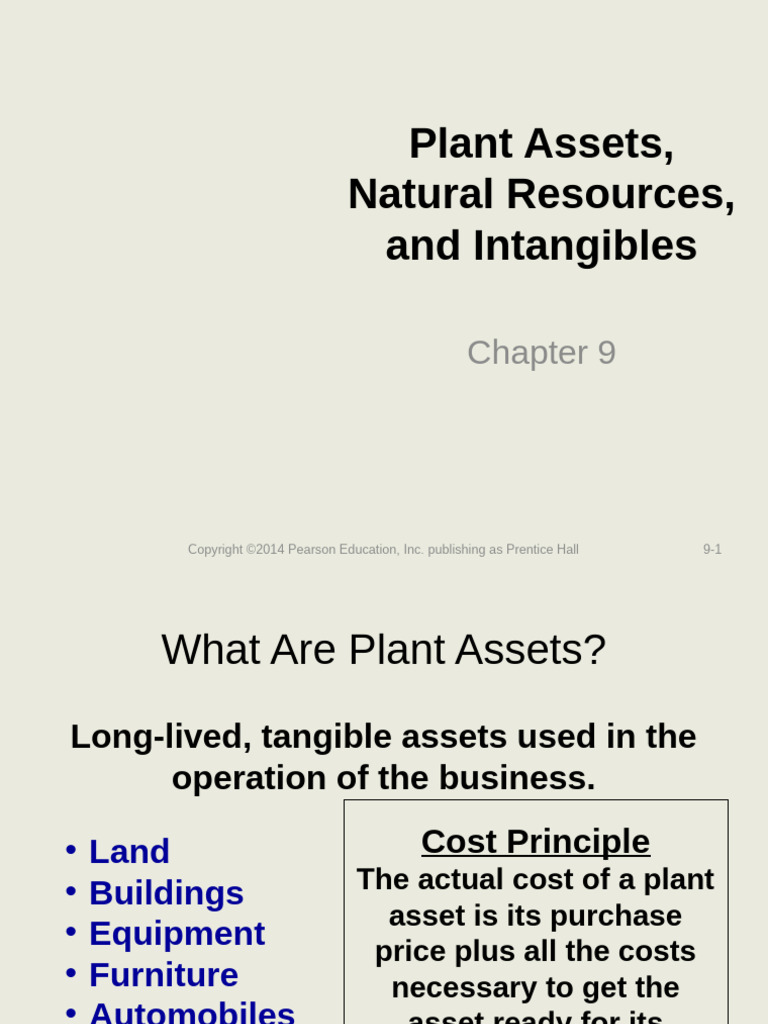Plant Asset Natural Resource and Intangiable Assets | PDF ...