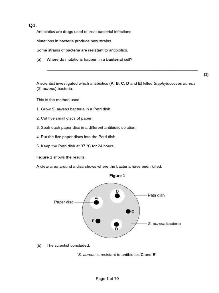Criterion BC Examination Practice Questions (1) | PDF | Staphylococcus ...