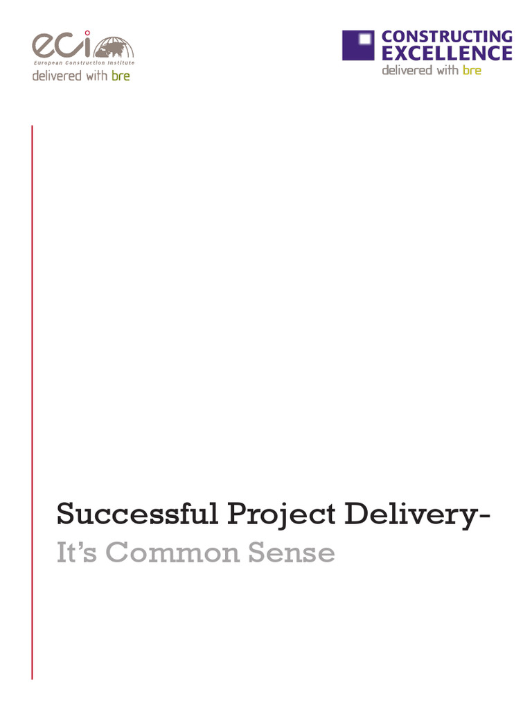 Successful Project Delivery Its Common Sense | PDF | Business