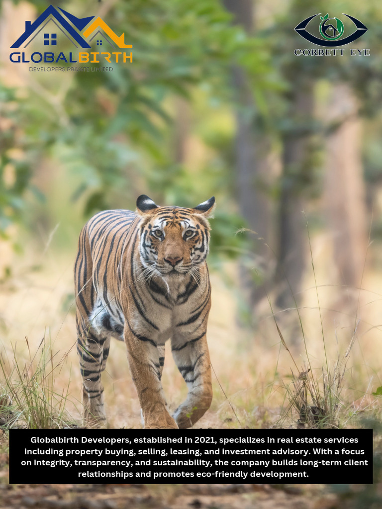 Brochure - Corbett Eye PDF | PDF