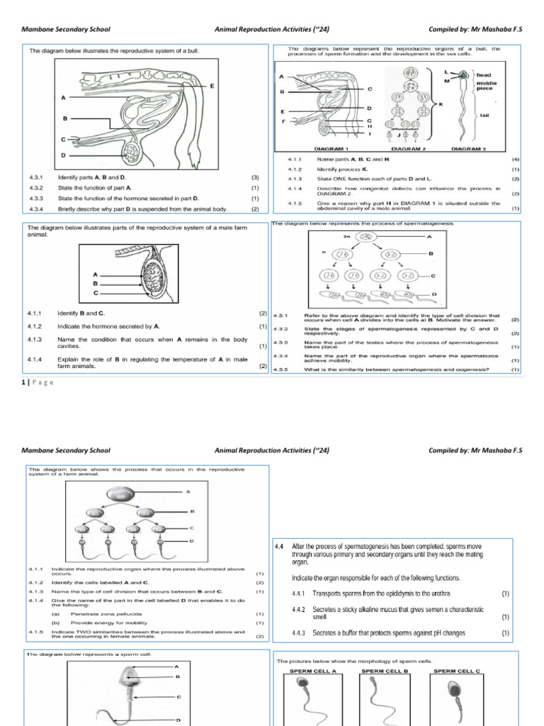 Mambane Secondary Animal Reproduction '24 | PDF