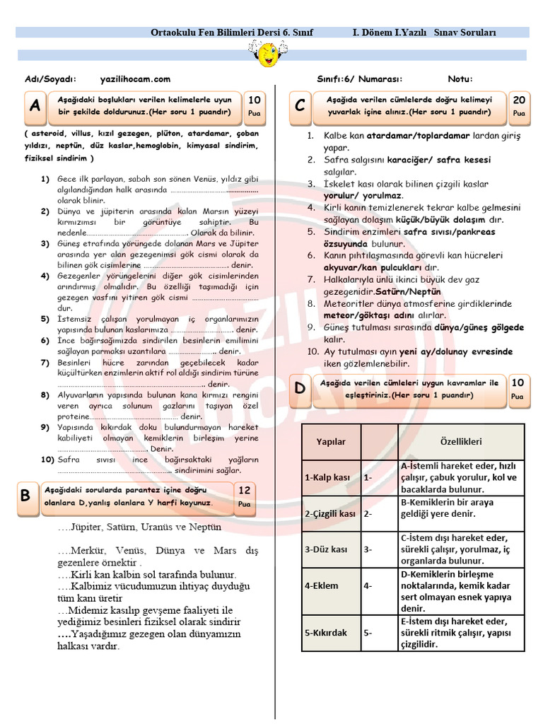 6.sinif Fen 1.dönem 1.yazili Sorulari-3 | PDF