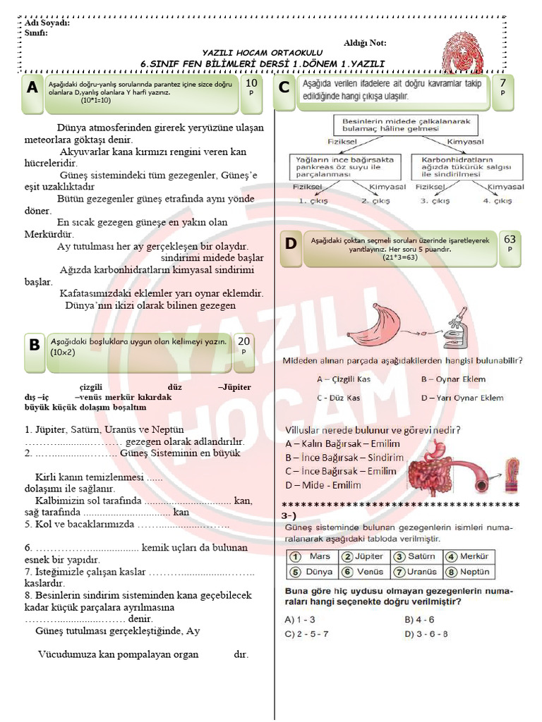 6.sinif Fen 1.dönem 1.yazili Sorulari-1 | PDF