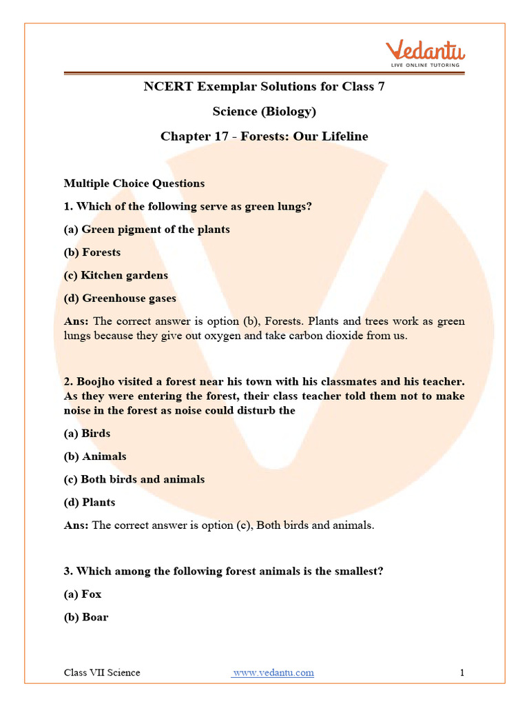 NCERT Exemplar Class 7 Science Solutions Chapter 17 Forests - Our ...