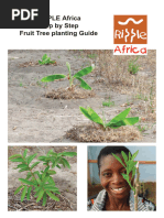 KCSE Agriculture Project Report 2025 | PDF