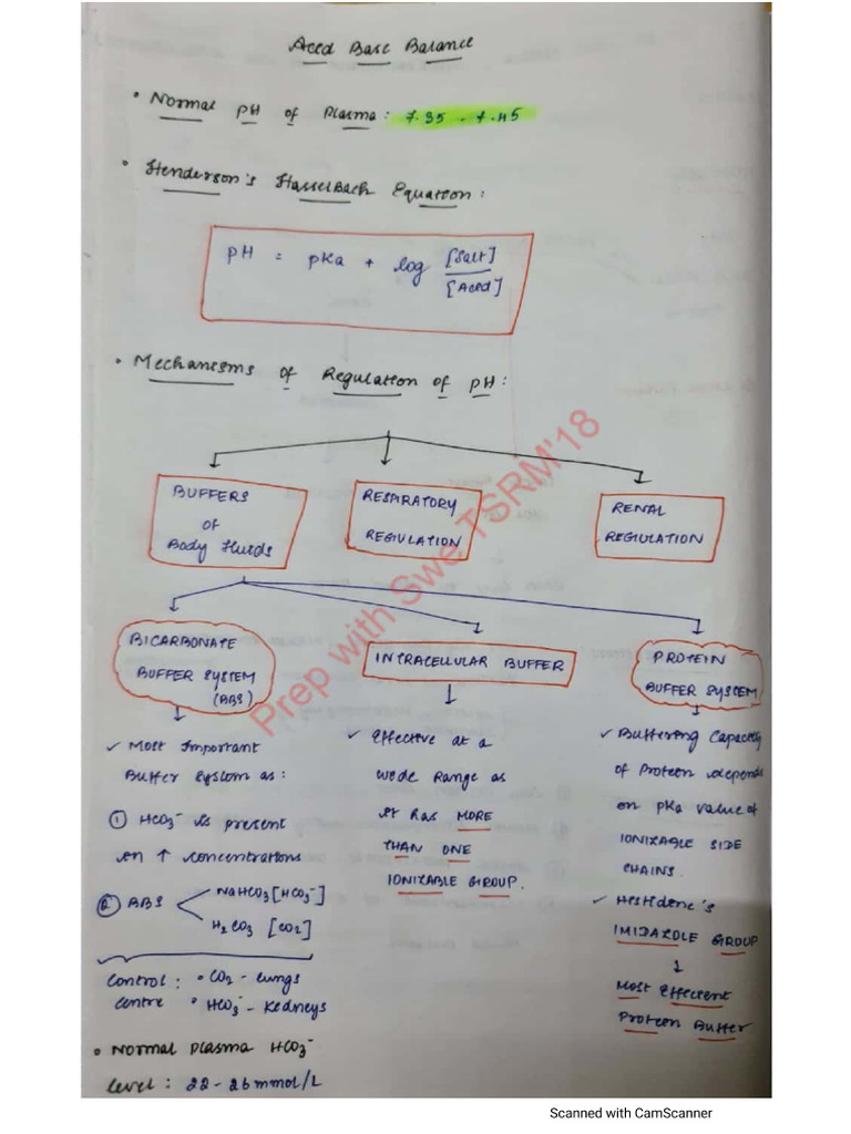 Acid Base Balance | PDF