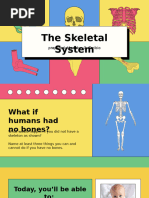 The Skeletal System - Skeleton - Living Organisms - KS3 Biology - BBC ...