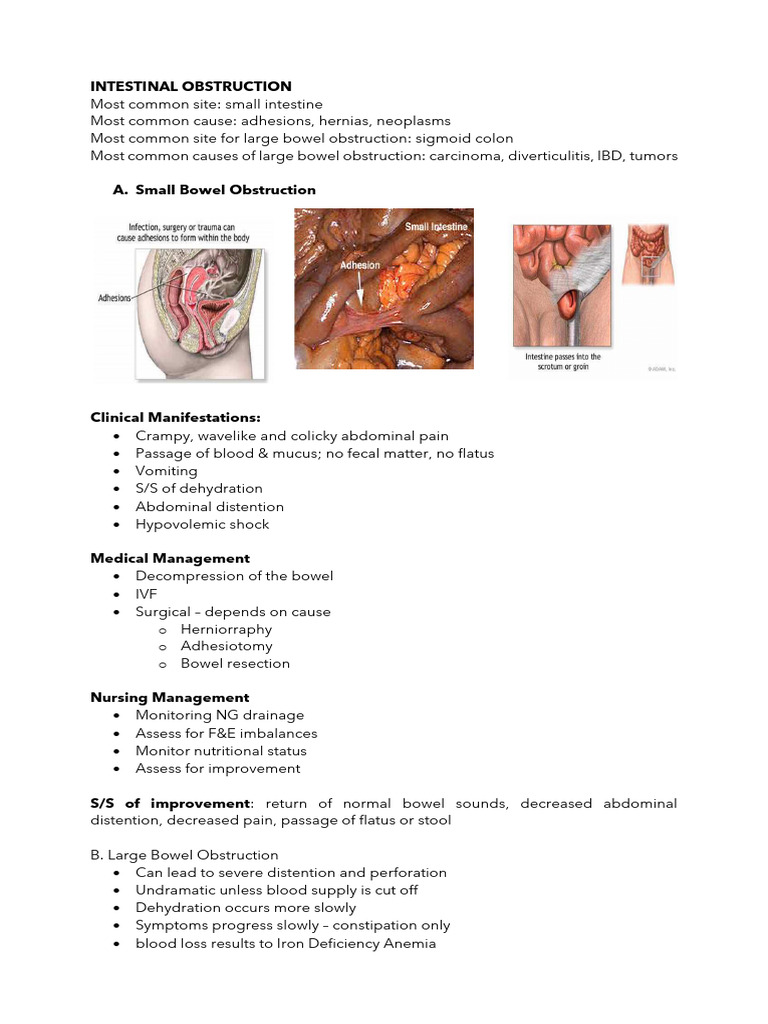 Intestinal Obstruction | PDF