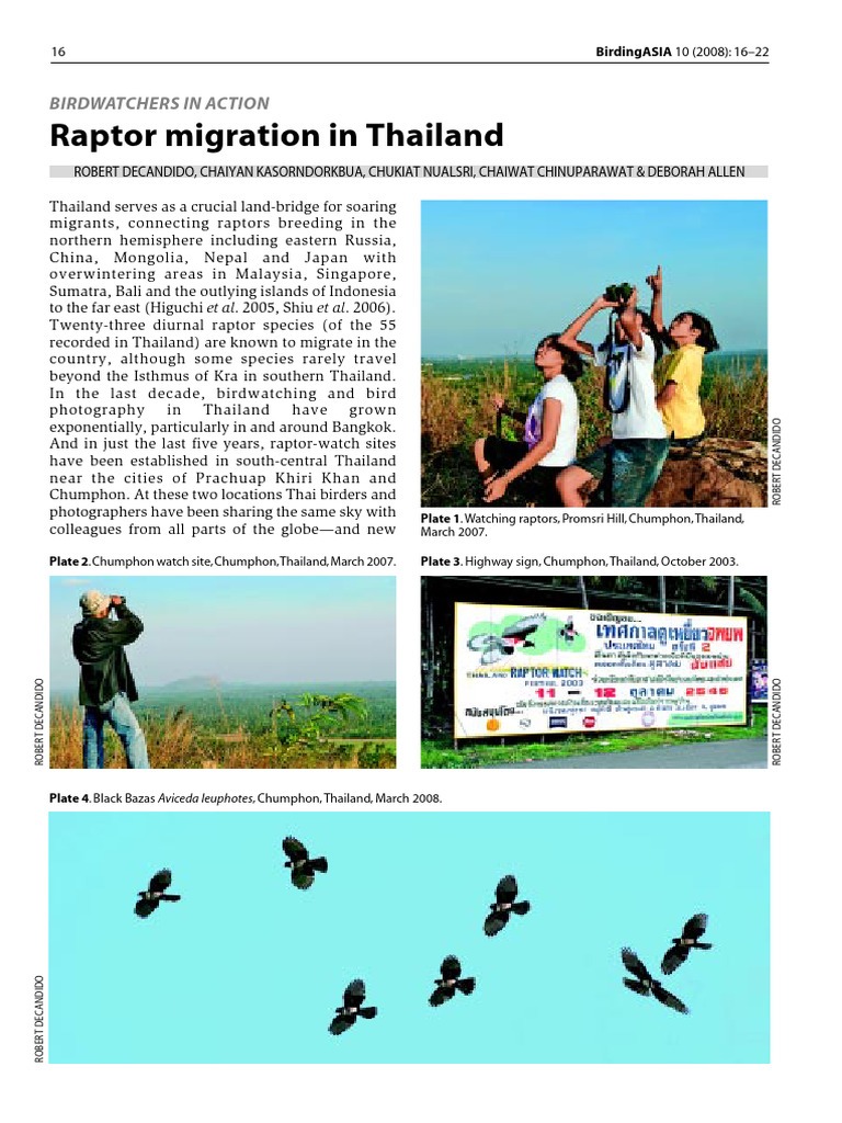 Raptor Migration Hotspots in Thailand | PDF | Bird Migration | Birds Of ...