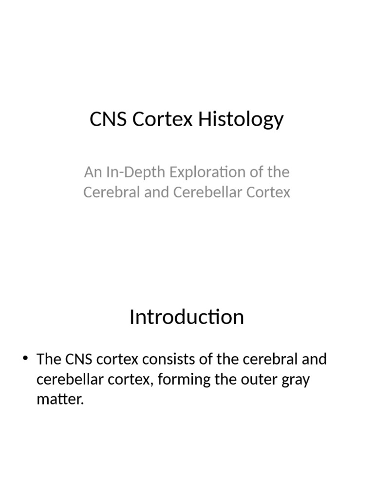 CNS Cortex Histology Overview | PDF | Cerebral Cortex | Cerebellum