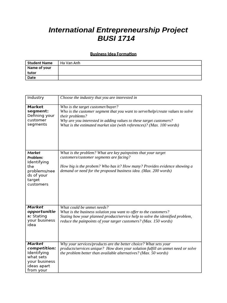 International Entrepreneurship Project Guide | PDF