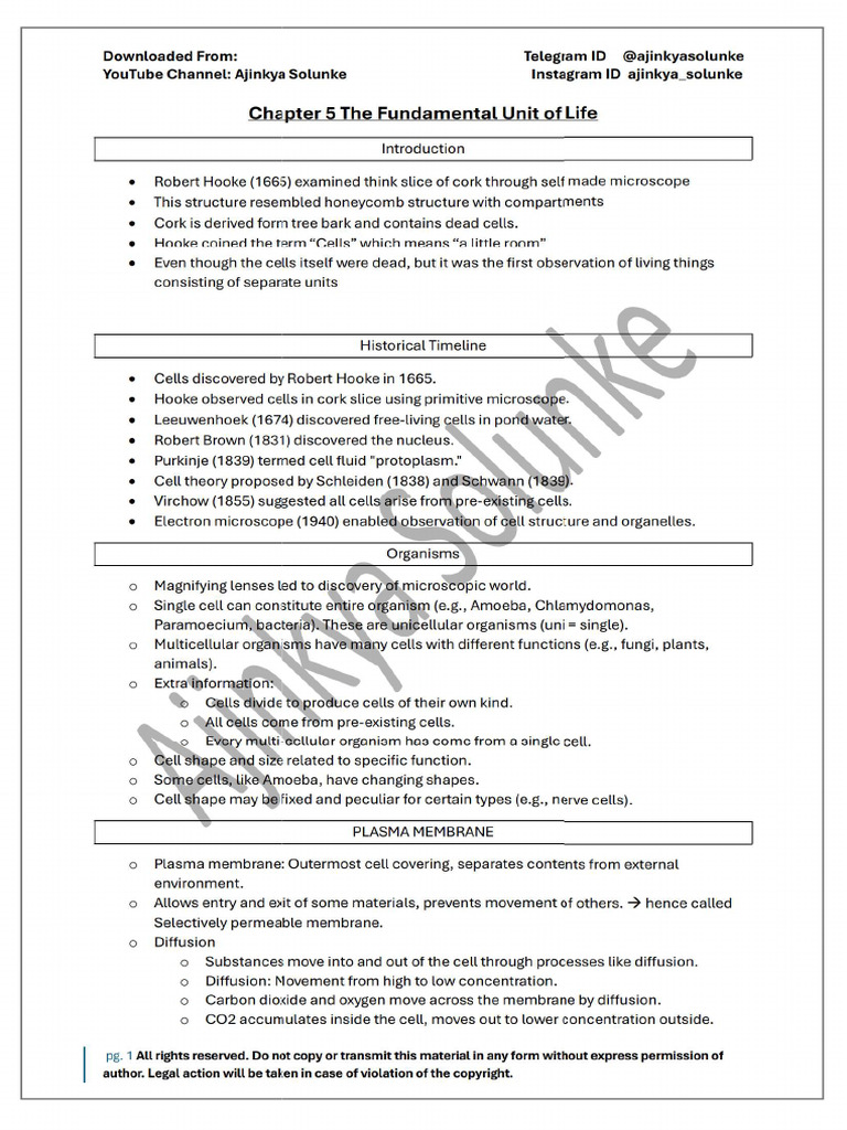 Chapter 5 The Fundamental Unit of Life 2024 2025 Final | PDF