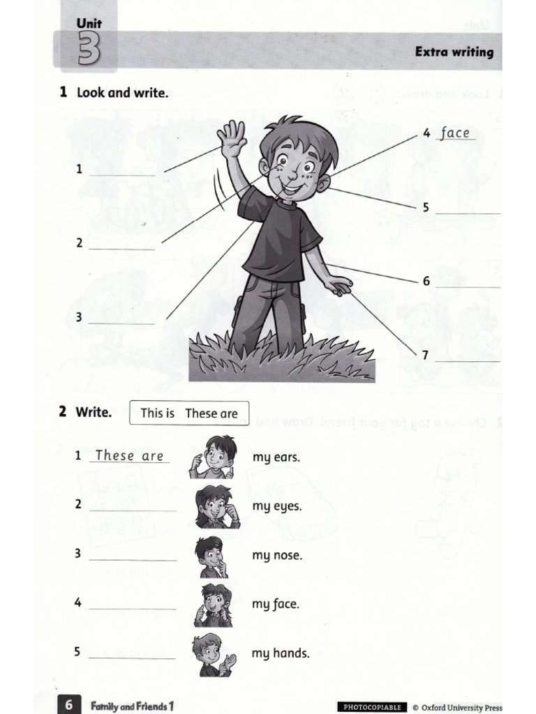 FF1. Unit 3. L1. | PDF