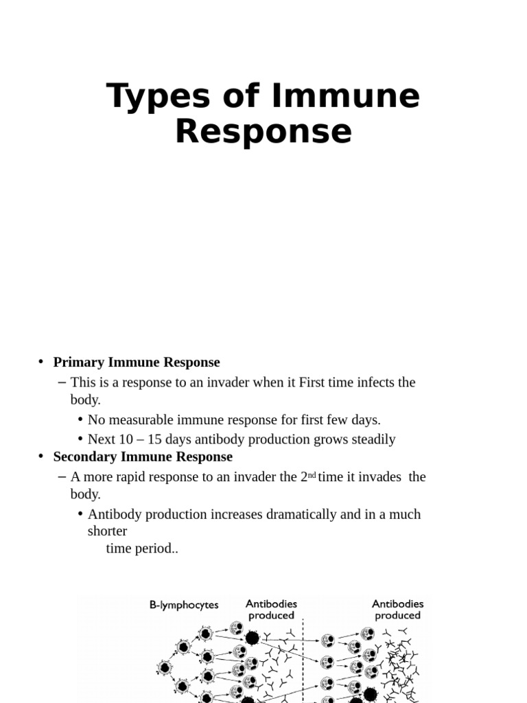 Primary and Secondary Immune Response | PDF