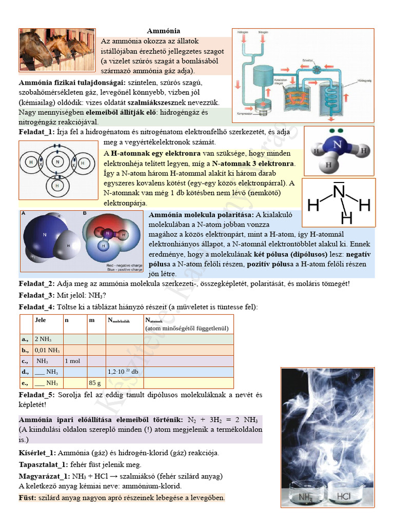 28 Ammonia | PDF