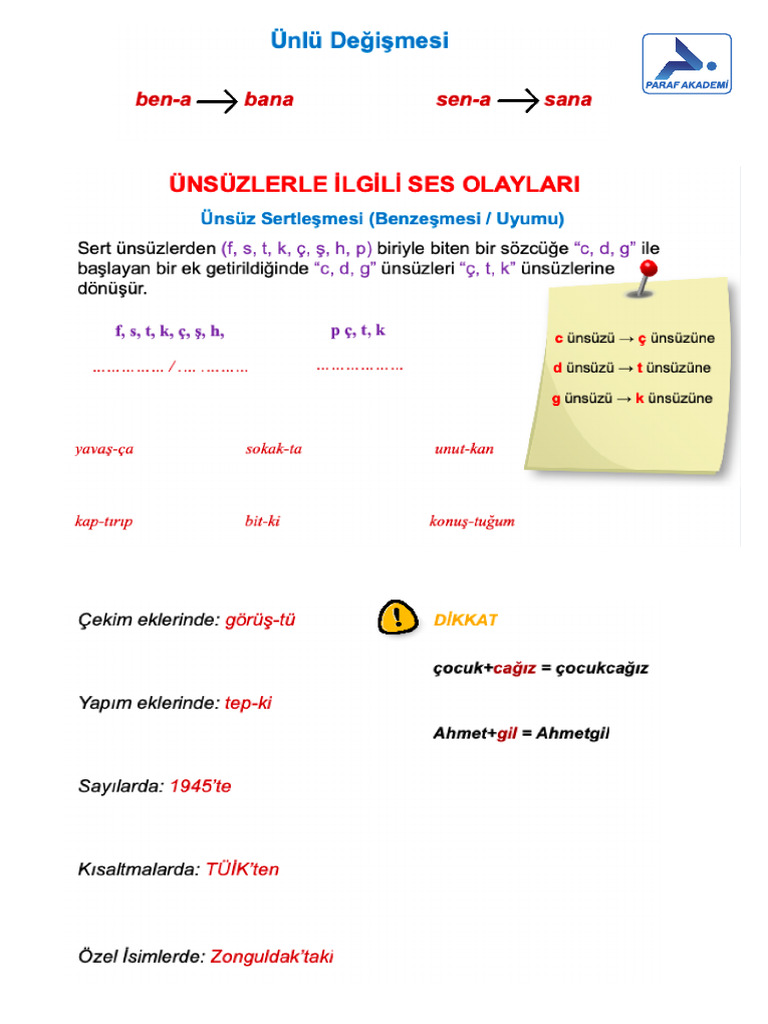 Unsuzlerle Ilgili Ses Olaylari | PDF